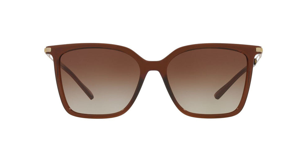 Gafas de Sol Jean Monnier J84165 Mujer Café | GMO Amamos tus ojos ...