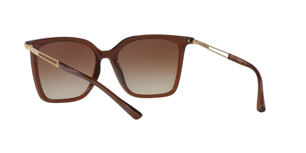 Gafas de Sol Jean Monnier J84165 Mujer Café | GMO Amamos tus ojos ...
