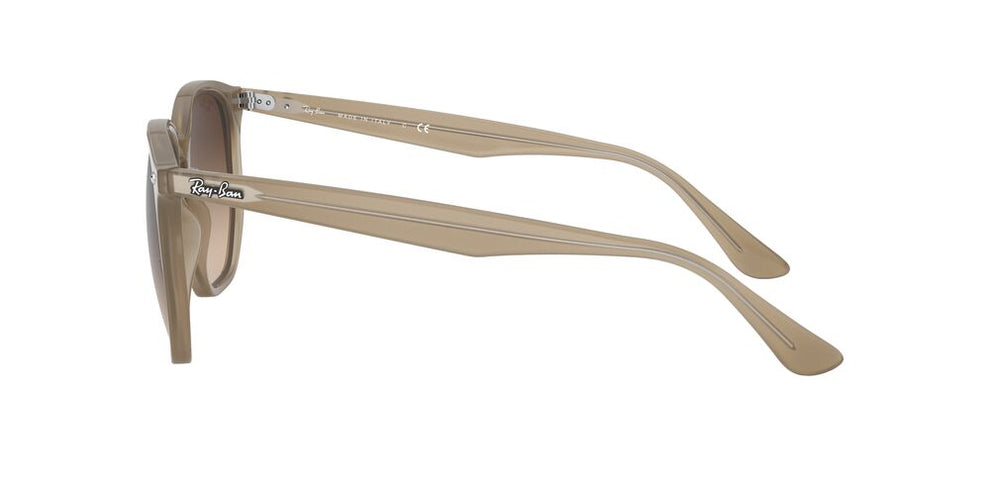 Gafas de Sol Ray-Ban 0RB4306 Unisex | GMO Amamos tus ojos – Ópticas GMO